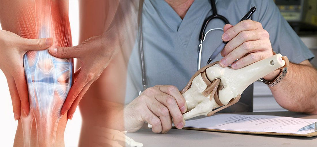 Know Everything About Patella Instability and Dislocation – Everyday ...